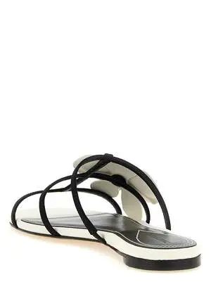 Zimmermann Orchid' Slides
