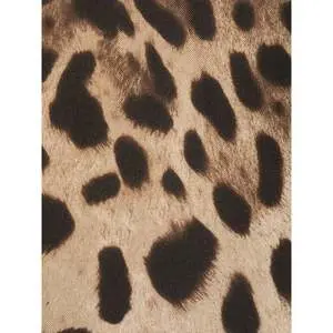 Dolce & Gabbana Scarves