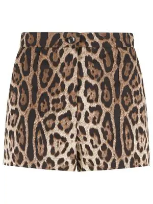 Dolce & Gabbana Leopard Print Cotton Shorts - Brown