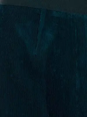 FORTE_FORTE Corduroy Pants - Multicolor
