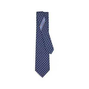 FERRAGAMO Silk Blend Printed Neck Ties - Blue