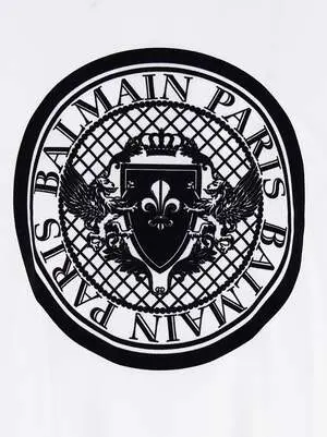 Balmain Velvet Logo T-shirt - Multicolor