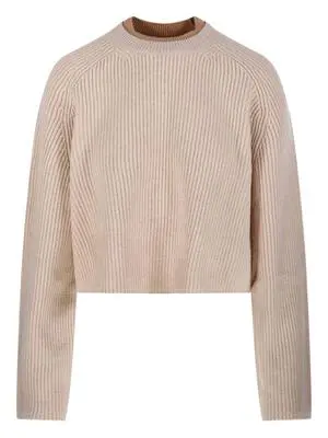 Max Mara Crew Neck Sweater In Cashmere Wool - Multicolor
