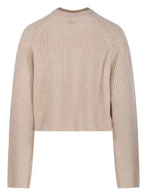 Max Mara Crew Neck Sweater In Cashmere Wool - Multicolor