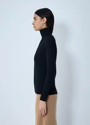 Max Mara Wool Turtleneck Sweater