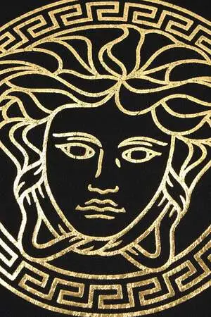 Versace Clothing Sweatshirts