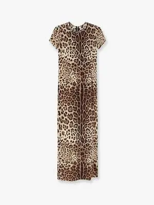 Dolce & Gabbana Silk Dress With Animal Print - Multicolor