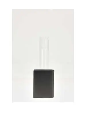 Celine Passport Cover
