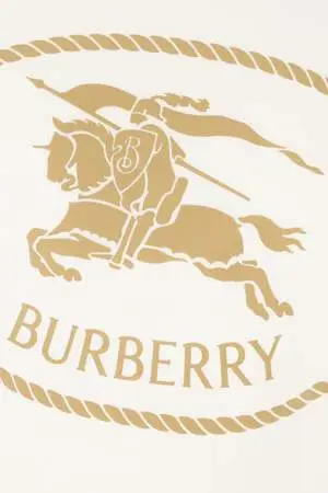 Burberry Clothing T-shirt - Multicolor