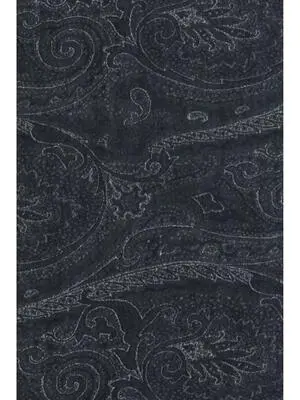 Etro Paisley Scarf - Black