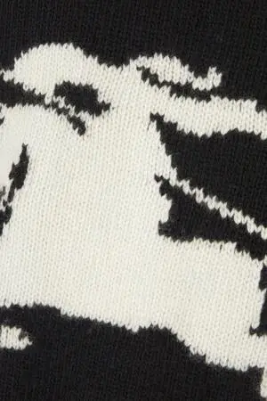 Burberry Graphic Knitwear - Multicolor