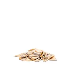 Gucci Neutrals Scarves - Cream