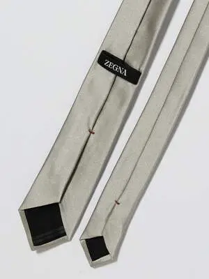 Zegna Silk Tie - Gray