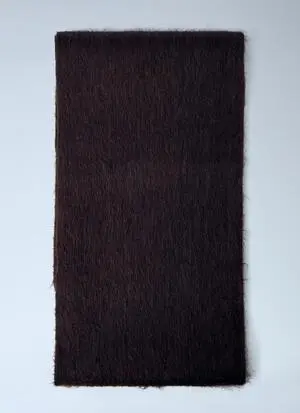 Acne Studios Logo Wool Scarf