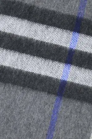 Burberry Accessories Scarves & Shawls