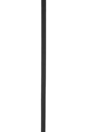 LANVIN Cintura