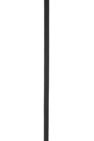 LANVIN Waist Belt