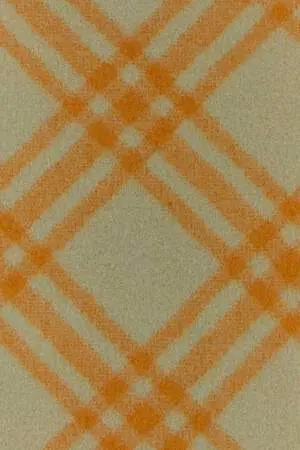 Burberry Embroidered Wool Blanket