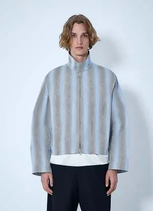 Dries Van Noten Striped Zip-up Jacket - Blue
