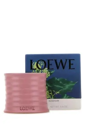 Loewe Small Ivy Scented Candle - Pink