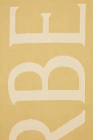 Burberry Accessories Scarves & Shawls