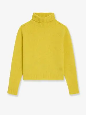Celine Wool Turtleneck With Triomphe Embroidery - Multicolor