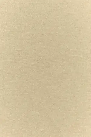 Prada Sand Silk Blend Scarf