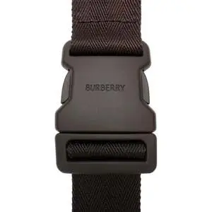 Burberry Neutrals Belt Bags