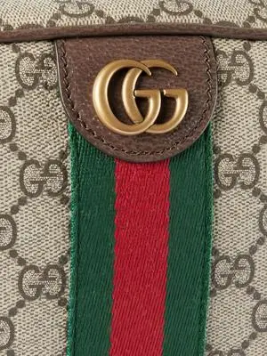 Gucci Ophidia Gg Crossbody Bag - Multicolor