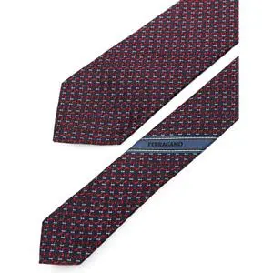 FERRAGAMO Ties & Bow Ties