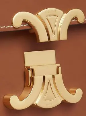 Celine Triomphe Classique Bag In Natural Calf Leather
