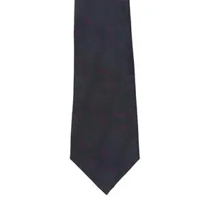 Tagliatore Ties & Bow Ties - Blue