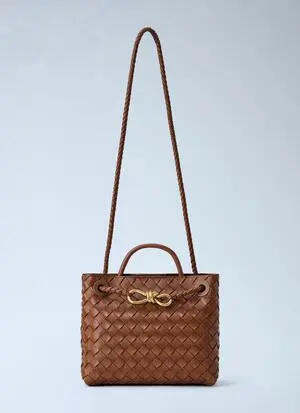 Bottega Veneta Small Andiamo Handbag - Brown