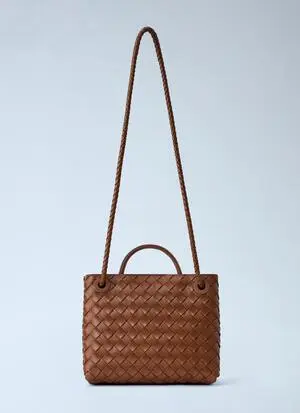 Bottega Veneta Small Andiamo Handbag - Brown