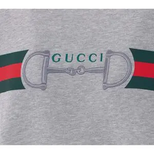 Gucci Web Print And Clamp Embroidery Sweatshirt