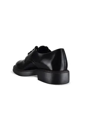 TOD'S Oxford Derbies