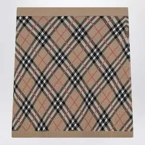 Burberry Wool And Mohair Blend Mini Skirt