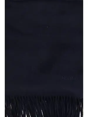 Max Mara Baci Cashmere Scarf - Blue