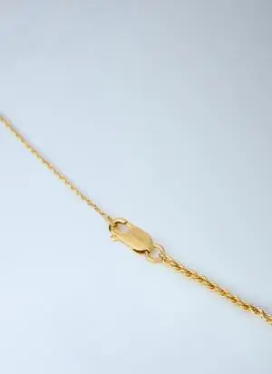 TOTEME Medium Onyx Drop Necklace