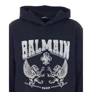 Balmain Crystal Hoodie - Silver
