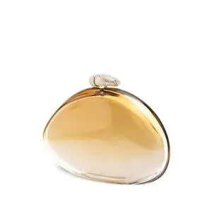 BENEDETTA BRUZZICHES BENEDETTA BRUZZICHES Acrylic Clutch