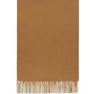 Max Mara Baci Cashmere Stole With Logo - Brown