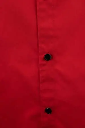 Celine Clothing Shirts