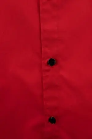 Celine Clothing Shirts