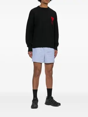 AMI Paris Wool Crewneck Sweater - Multicolor