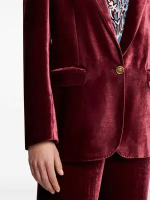 Etro Velvet Blazer Jacket - Multicolor