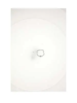 Dior Bracelet Bee