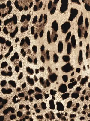 Dolce & Gabbana Leopardo' Scarf - Multicolor