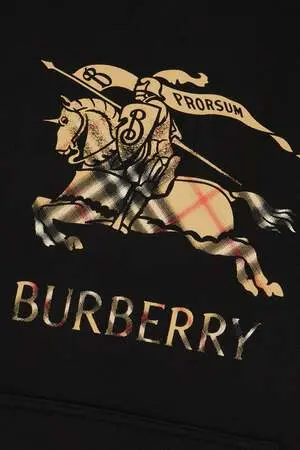 Burberry Clothing Sweatshirts