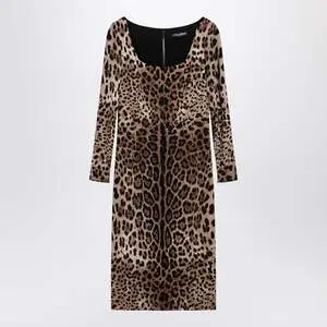Dolce & Gabbana Leopard-print Long-sleeve Dress In Viscose - Brown